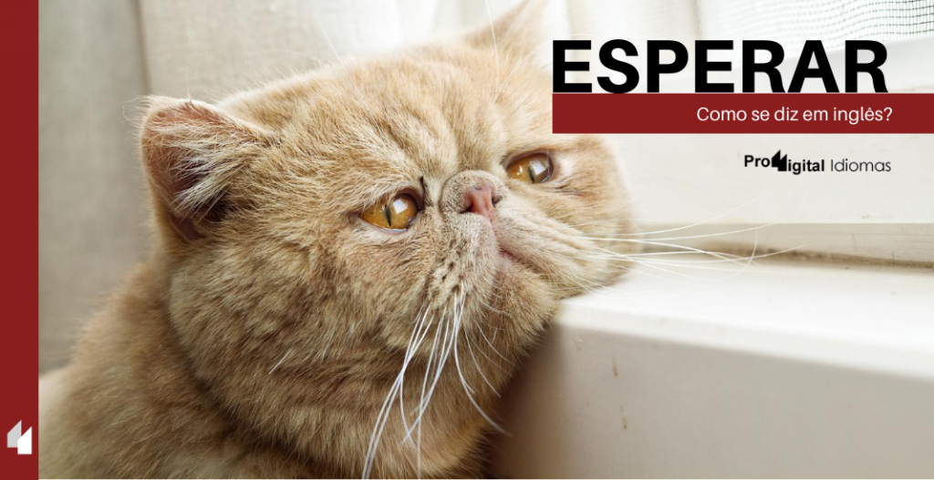 Como se diz ESPERAR em inglês? • Proddigital Idiomas