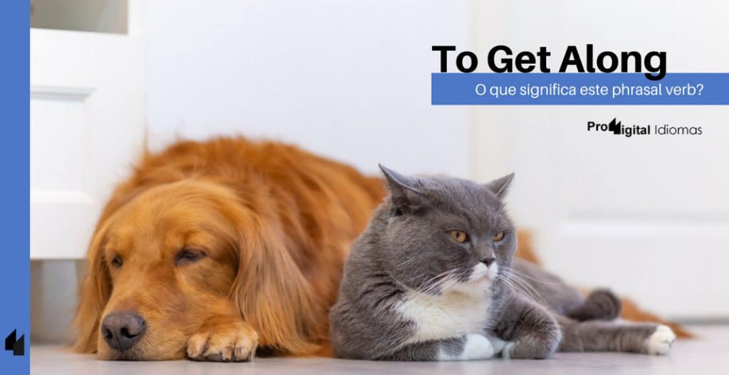 To Get Along - O que significa esse phrasal verb? • Proddigital Idiomas